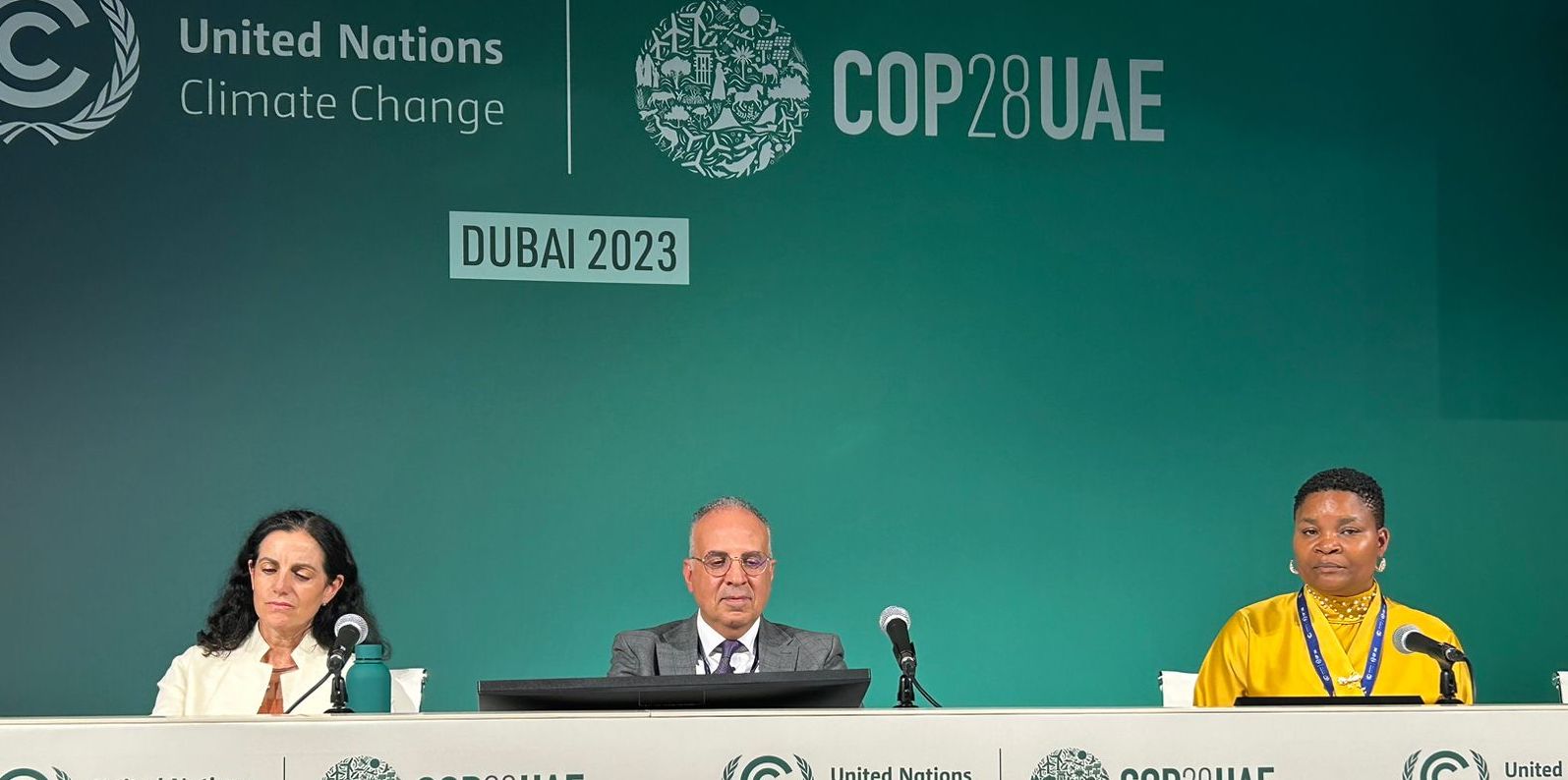 Reflections from COP28 - 3 Dec | Why Livestock Matter